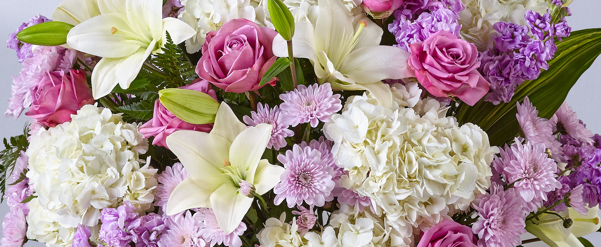 Tender Embrace–Caines Flowers